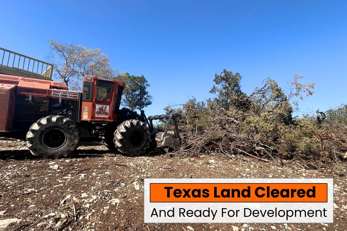 Cedar Cleanup Project Completed in Texas: Overgrown Land Transformed ...
